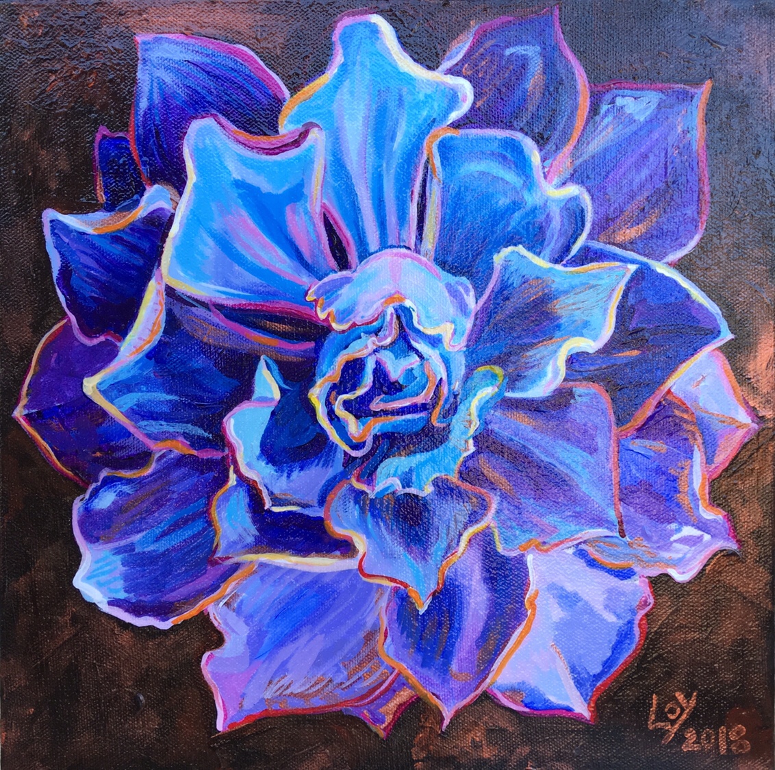Echeveria ‘Afterglow’-Sold – Sharon Loy Anderson